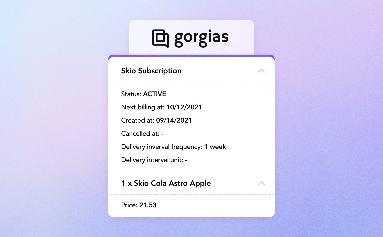 Gorgias integration – Skio